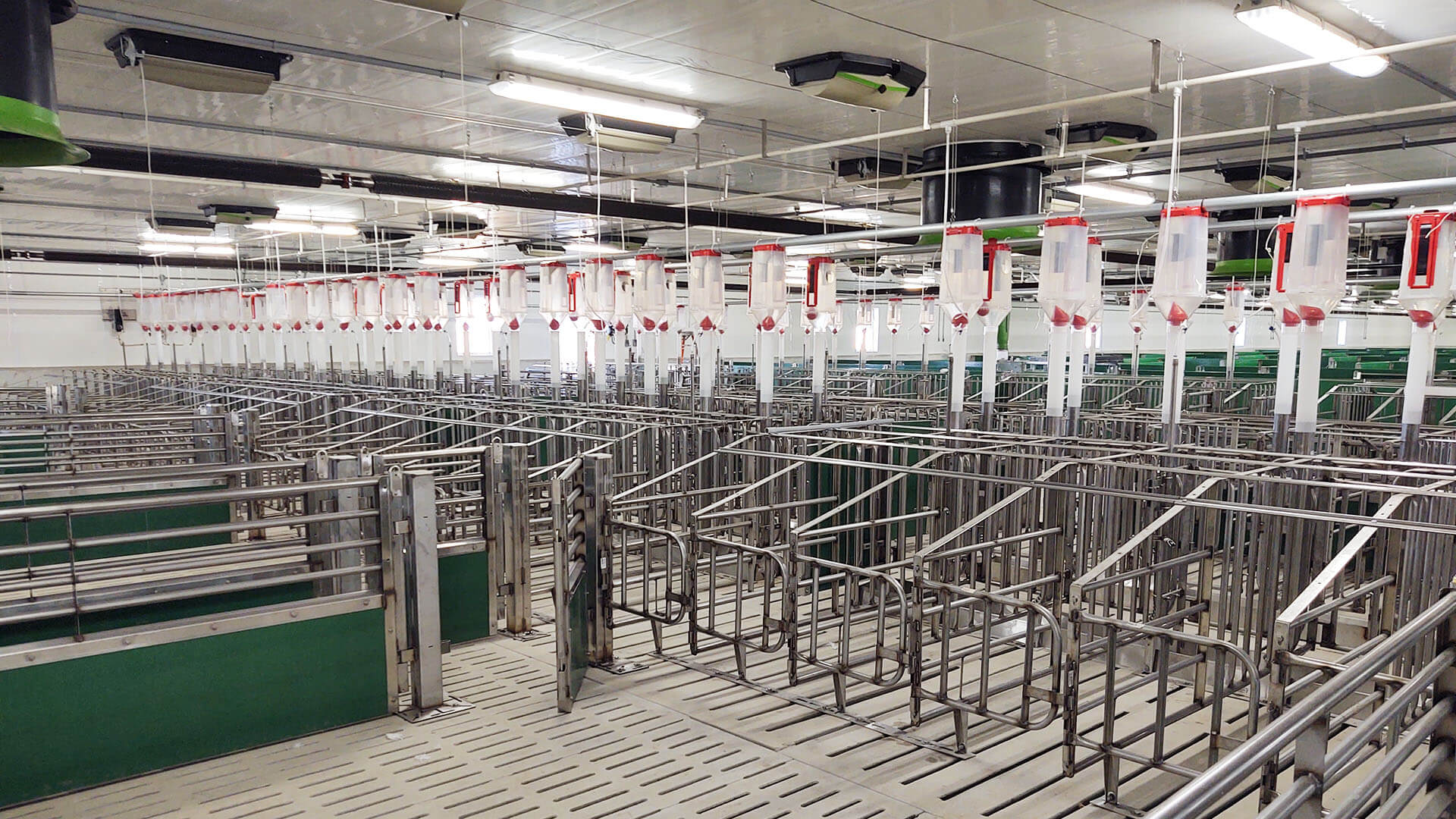 Hightop Swine Equipment - Hog & Pig Farming Equipment Suppliers